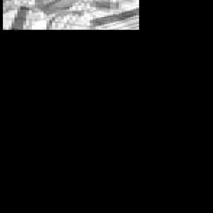 Daryl D. Meyer (1949-2008)