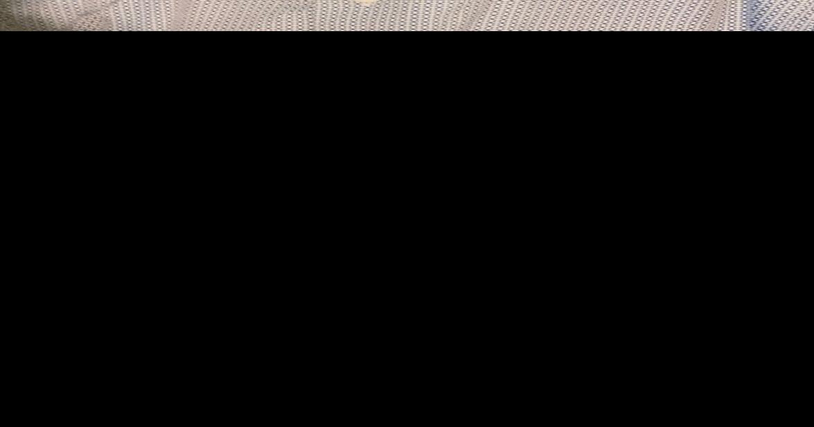 Travis Gregory Geisler