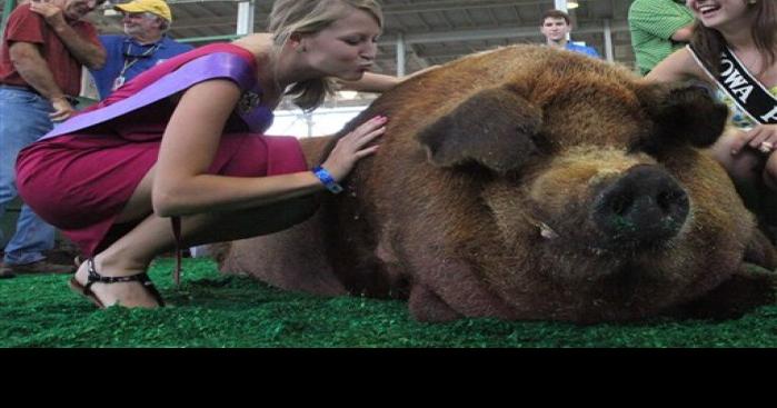 Indiana hog wins Iowa State Fair Big Boar contest