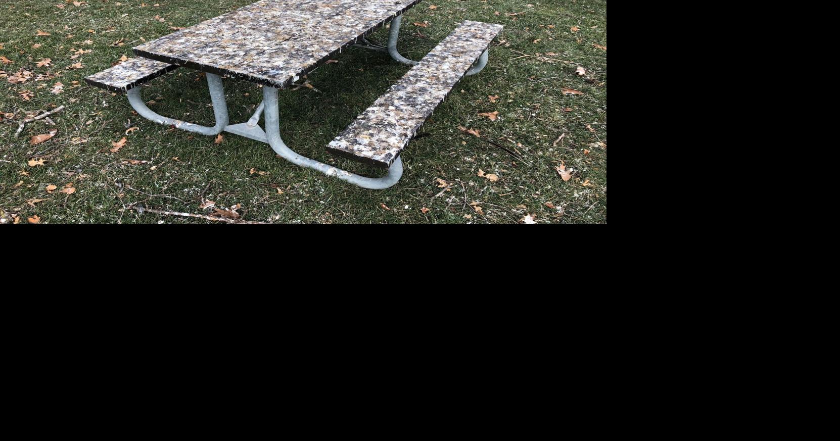 Thousands of crows pooping all over downtown; USDA trying to remove them