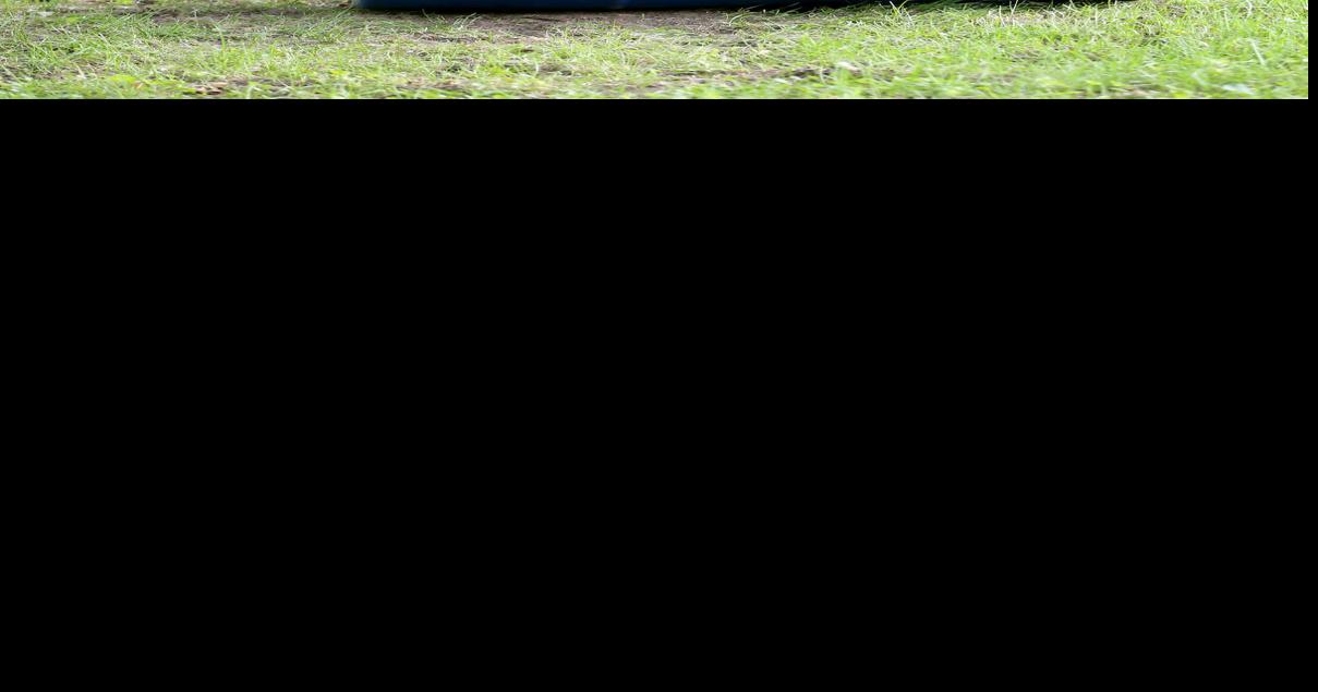 Backyard ninja kids: Cedar Falls family climbs, runs and jumps to ...