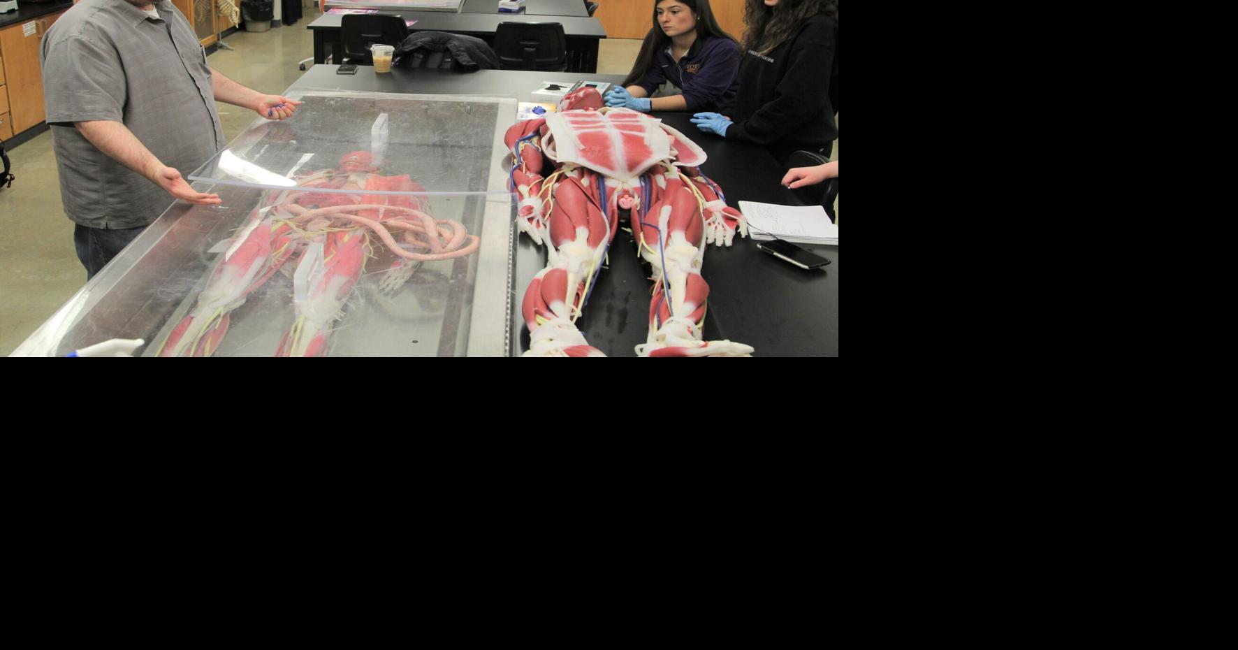 Photos: Synthetic Cadavers at UNI