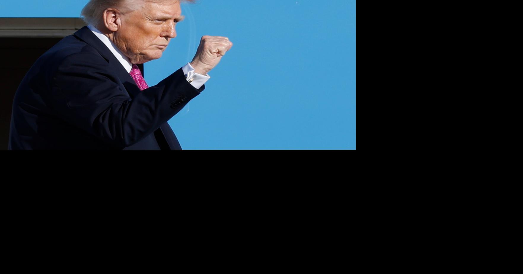 DC LARSON: Trump's wins for America piling up