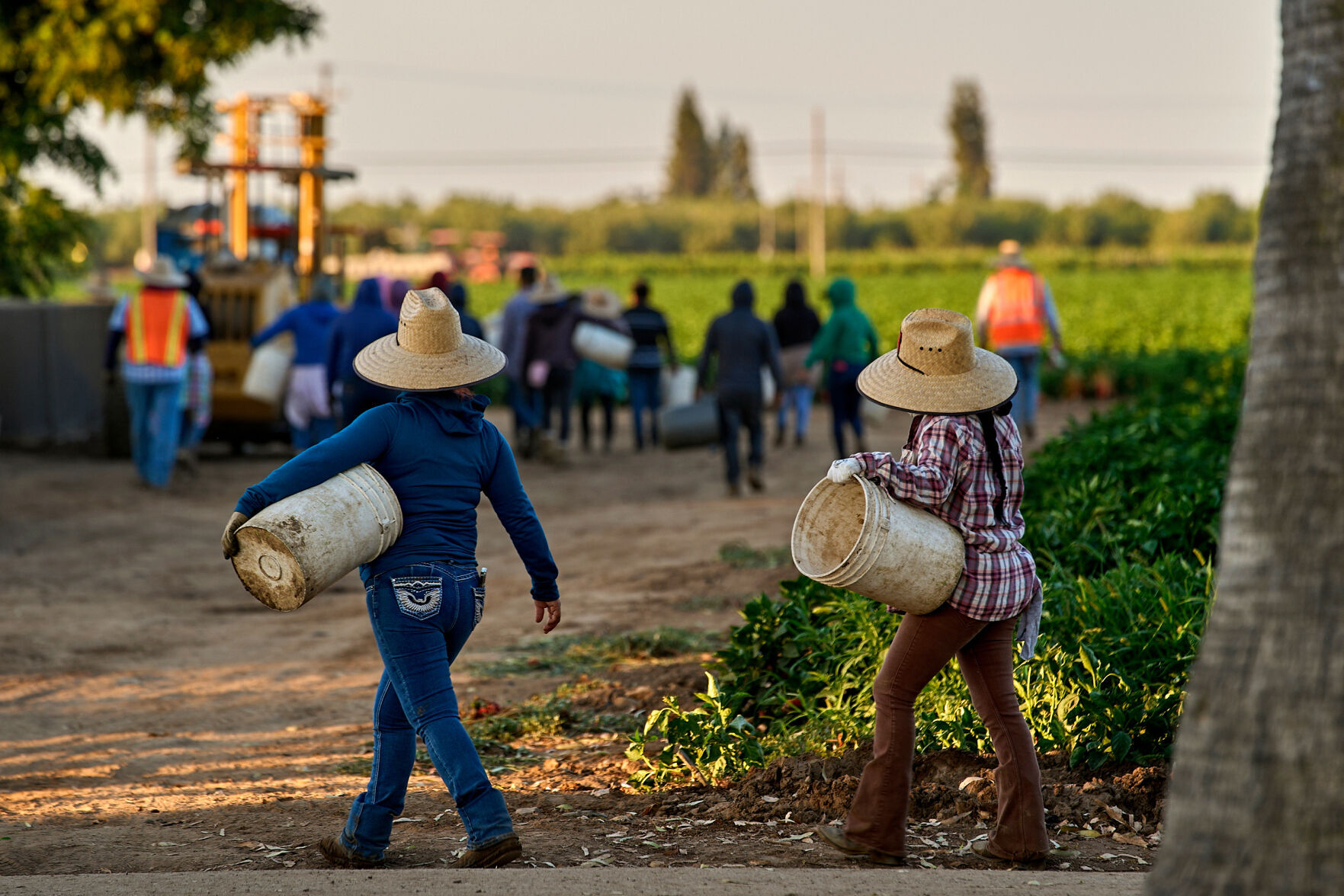 Women farmworkers cope with Chavez sexual assault allegations