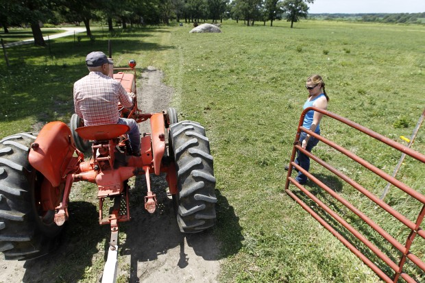 Bison bounty: Farmers note increased demand for buffalo meat