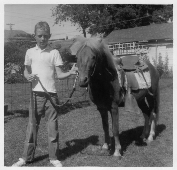 The Sully Side of Sports: A horse of a different color ...