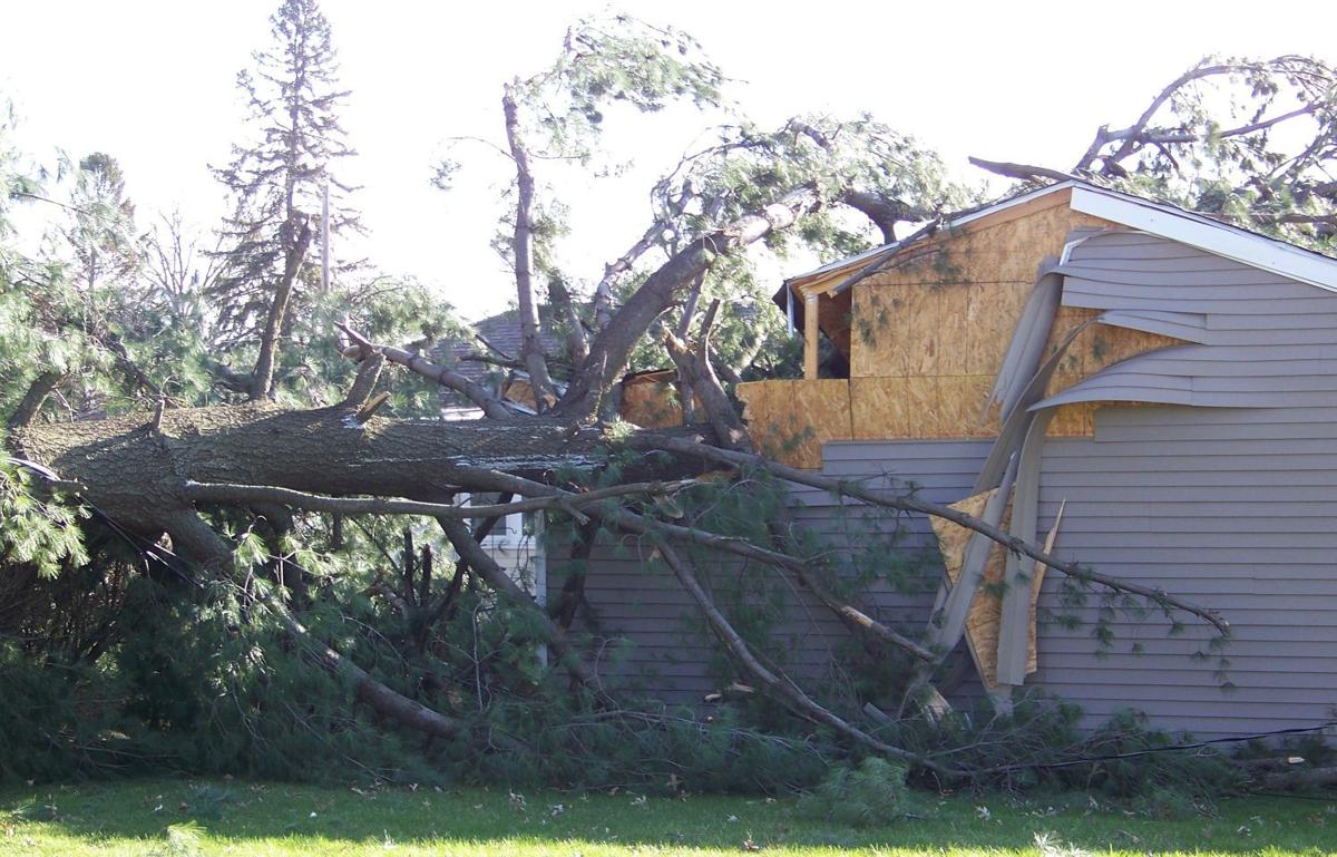 Winds knock down tree, knock out power | Local News | wcfcourier.com