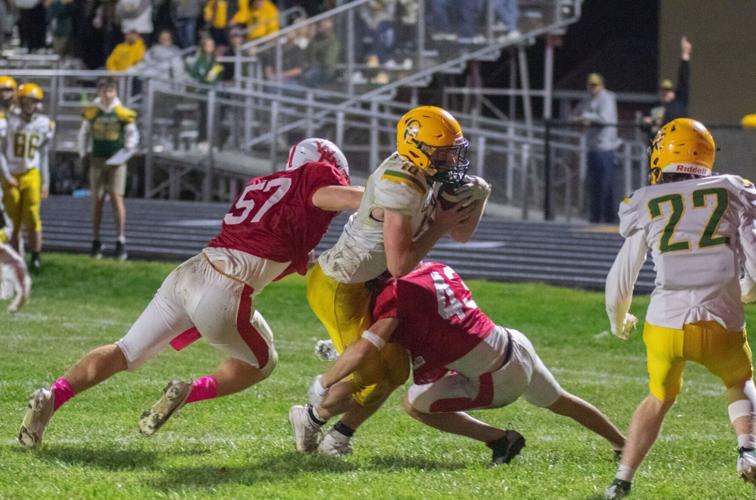 Waterloo police find damage likely caused by shot fired