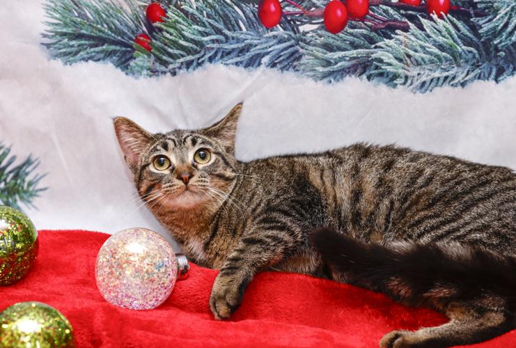 Union Schools considered 'high performing' by state