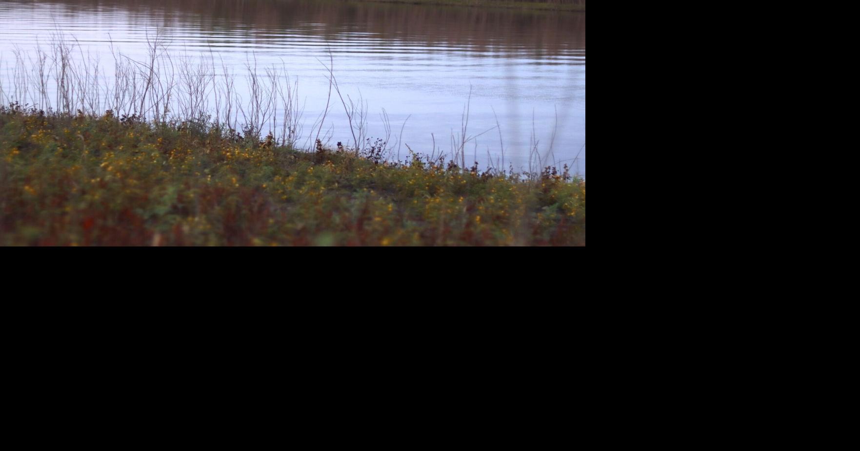 EPA adds 7 segments to Iowa’s 2024 impaired water list