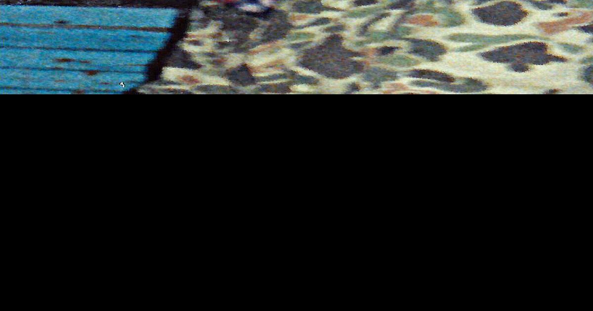 Scott Mulder's Instagram, Twitter & Facebook on IDCrawl