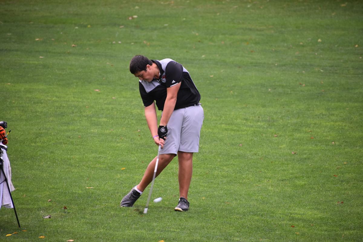State golf: Quartet edges Cedar Falls' Bermel by a stroke for 4A ...