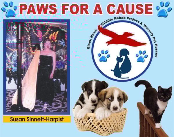 A Special Event: Paws for a Cause