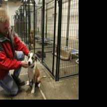 Waterloo Animal Control services back in question