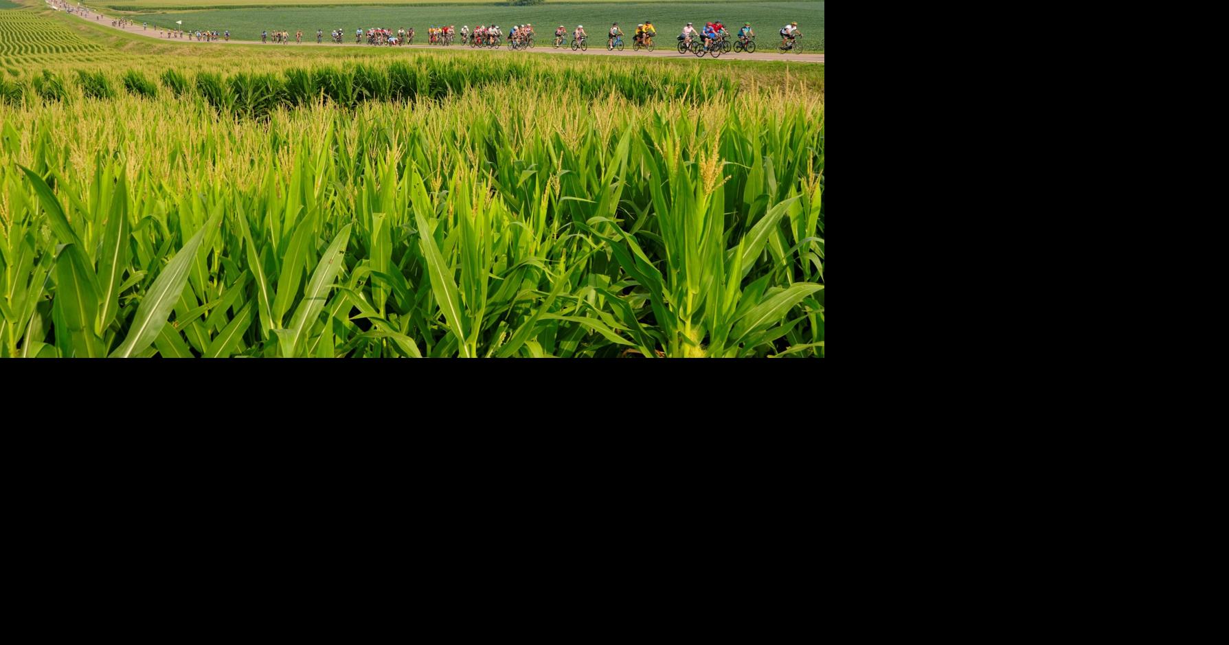 World's biggest recreational bike ride begins anew