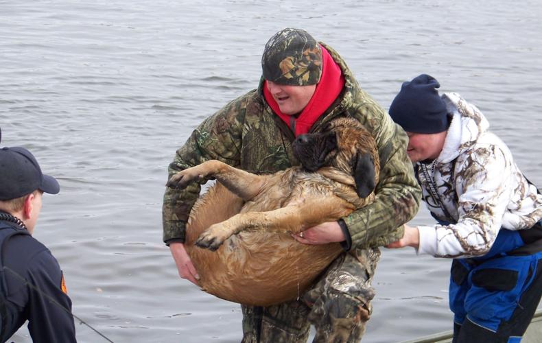 VIDEO: Fishermen rescue dog from frigid river