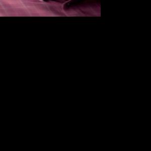 Dr. Randall Eugene Poyner