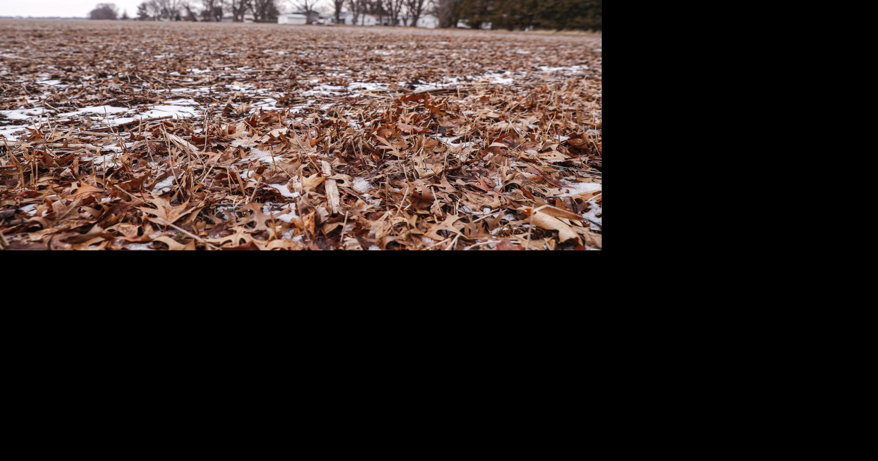 CF Planning and Zoning Commission favors rezoning North Cedar land for ...