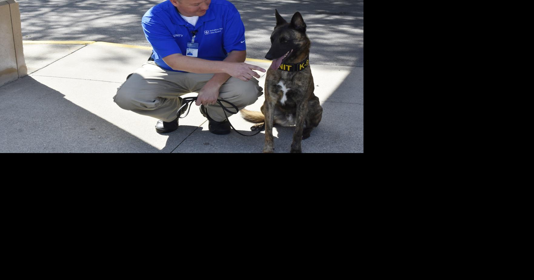 To soothe and protect: UnityPoint-Allen adds comfort security dog to site