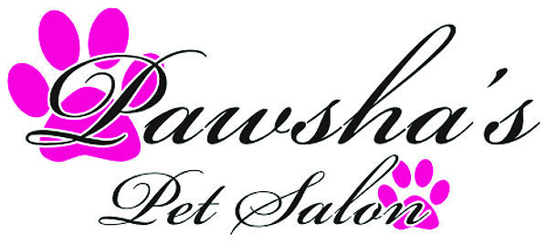 Canine couture: Pet salon offers eye-popping primping | Lifestyles ...