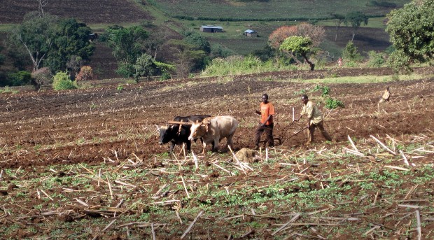 New Hartford man designs plow for African farmers