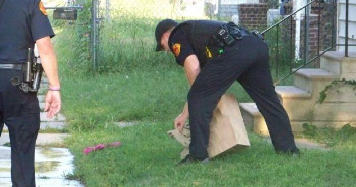 Alleged owner fails to show for court in dog mauling