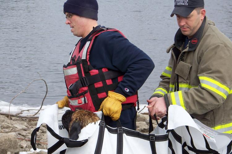 VIDEO: Fishermen rescue dog from frigid river