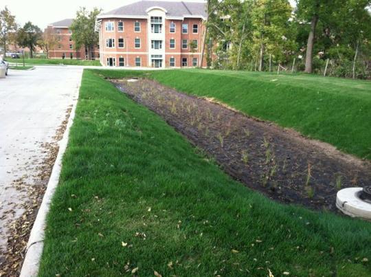 'Bioretention cells' built to improve water quality
