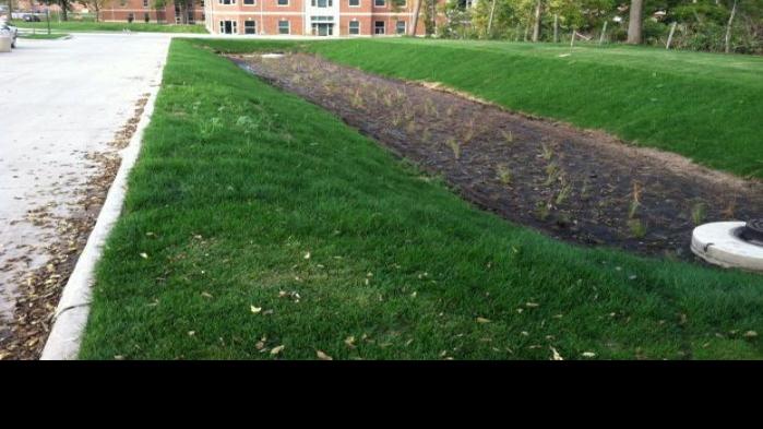 'Bioretention cells' built to improve water quality | Political News ...