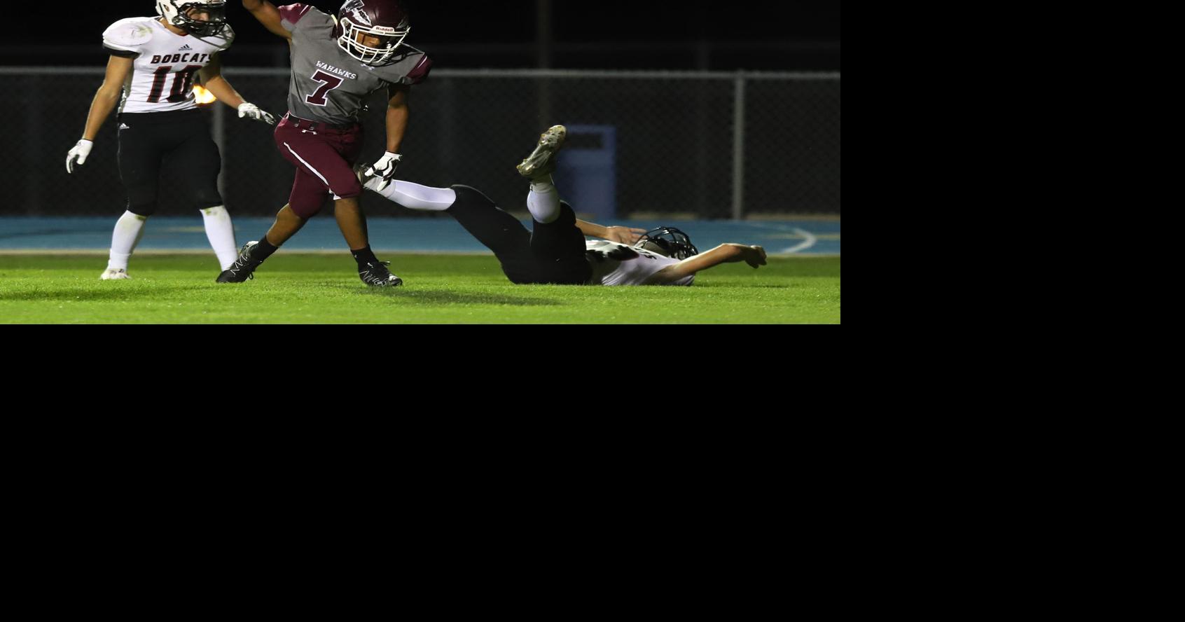 Metro football preview capsules
