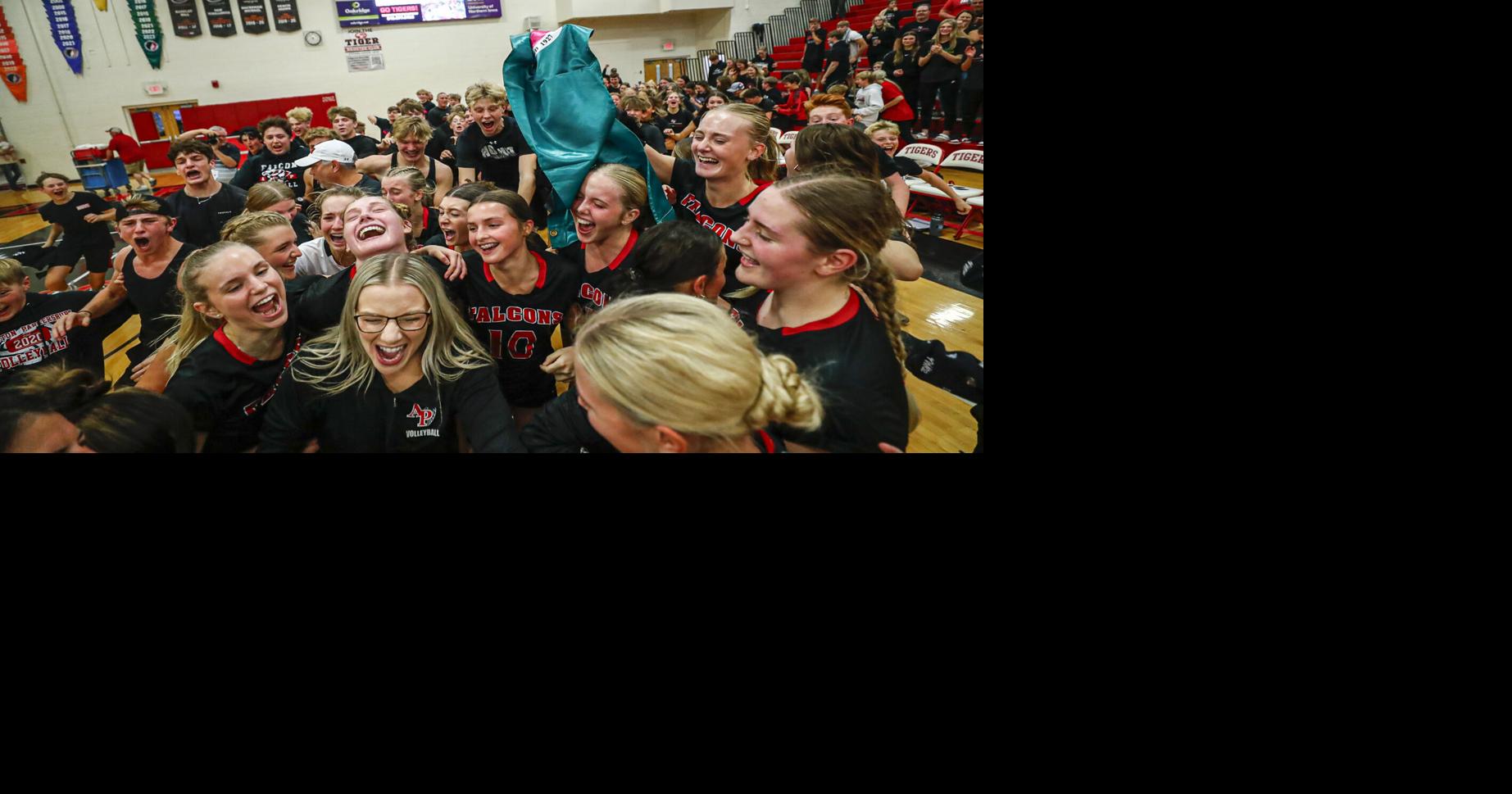 Mohwinkle wills A-P to win, state in regional final thriller