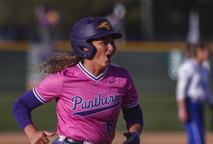 College softball: Dodge walk off grand slam gives UNI series sweep over ...
