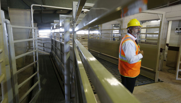 Iowa Premium Beef Logo