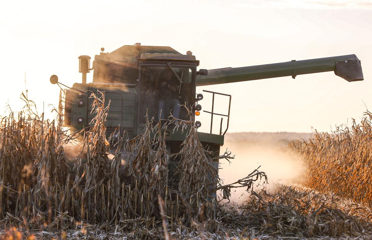Harvest rolls swiftly toward completion
