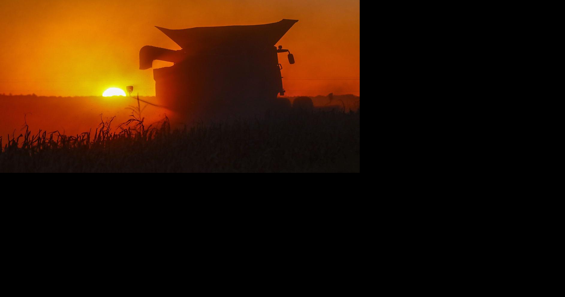 Harvest rolls swiftly toward completion