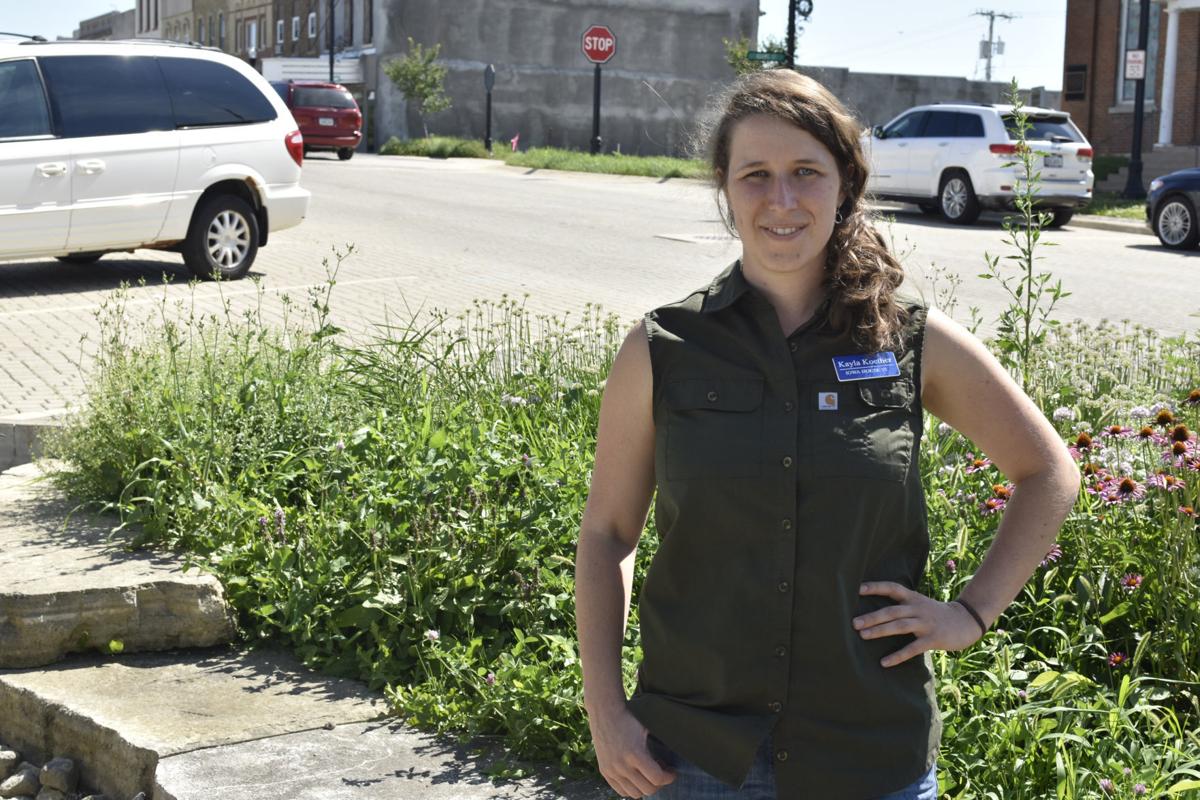 Koether running on community, not party | Political News | wcfcourier.com