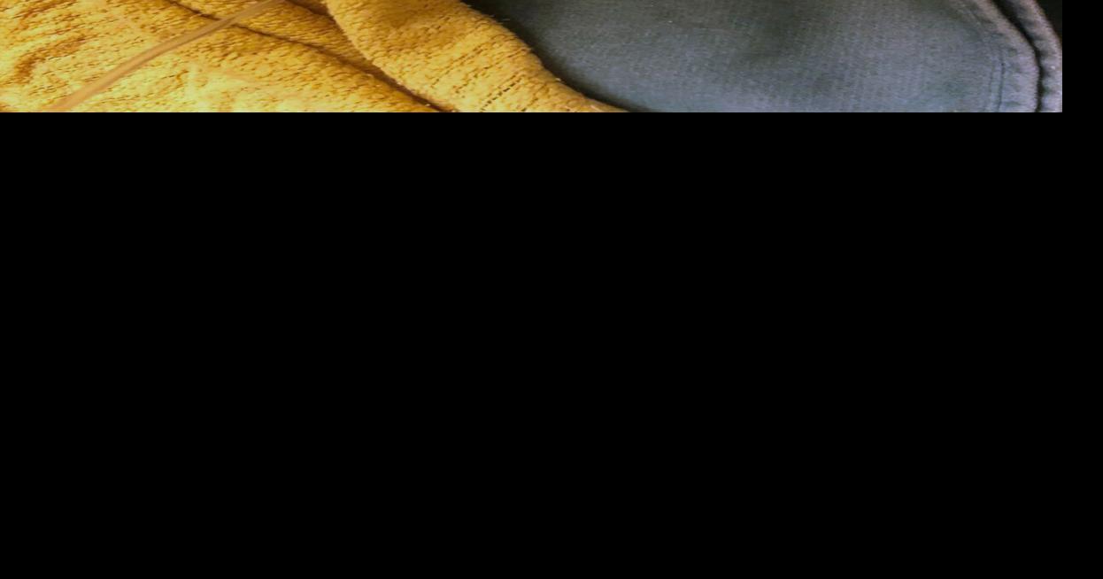 Necropsy ordered in death of severely emaciated dog