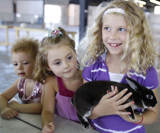Children jump for joy over 4-H rabbits | Local News | wcfcourier.com