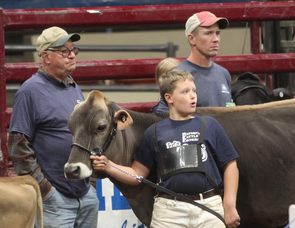 113th National Cattle Congress Fair to be held Sept. 20–24