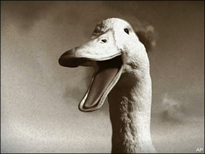 Aflac duck's new voice is Minnesota sales manager