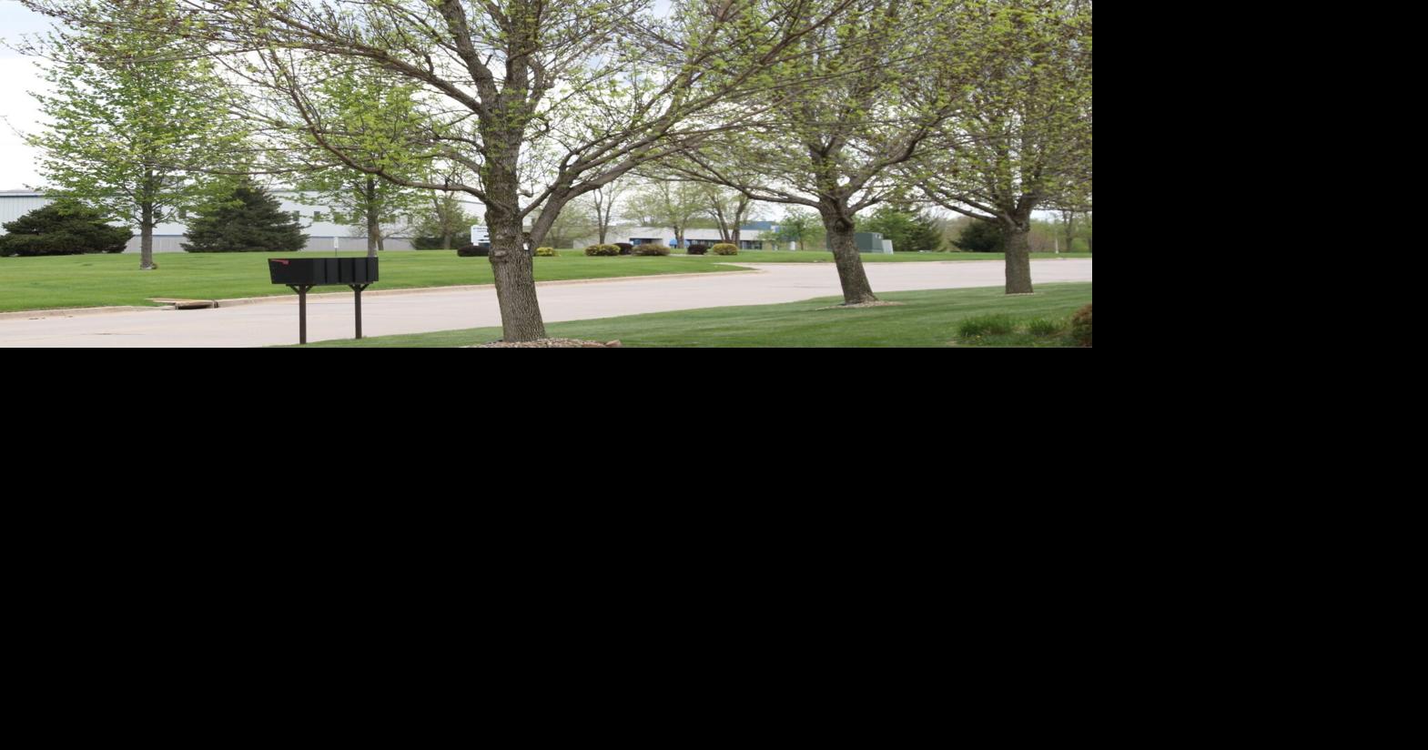 Waverly's love, care for trees shines through year after year