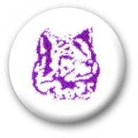 Area prep roundup: Central Elkader topples Oelwein