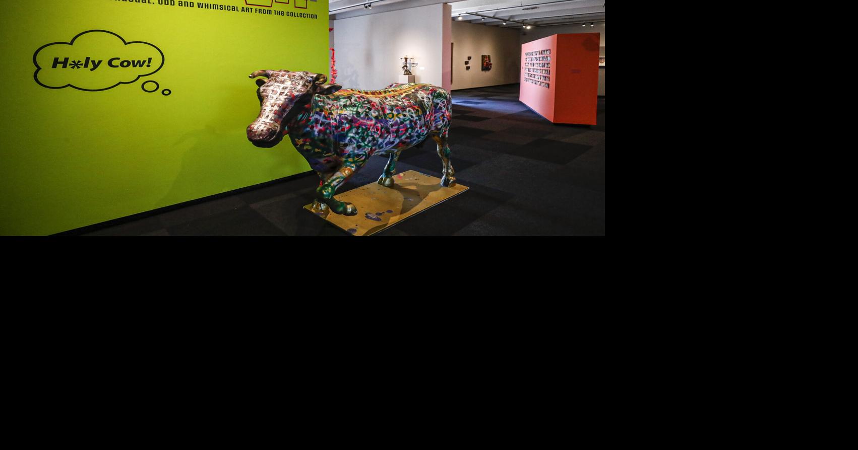 'WTF: What the Fun" exhibit at the Waterloo Center for the Arts