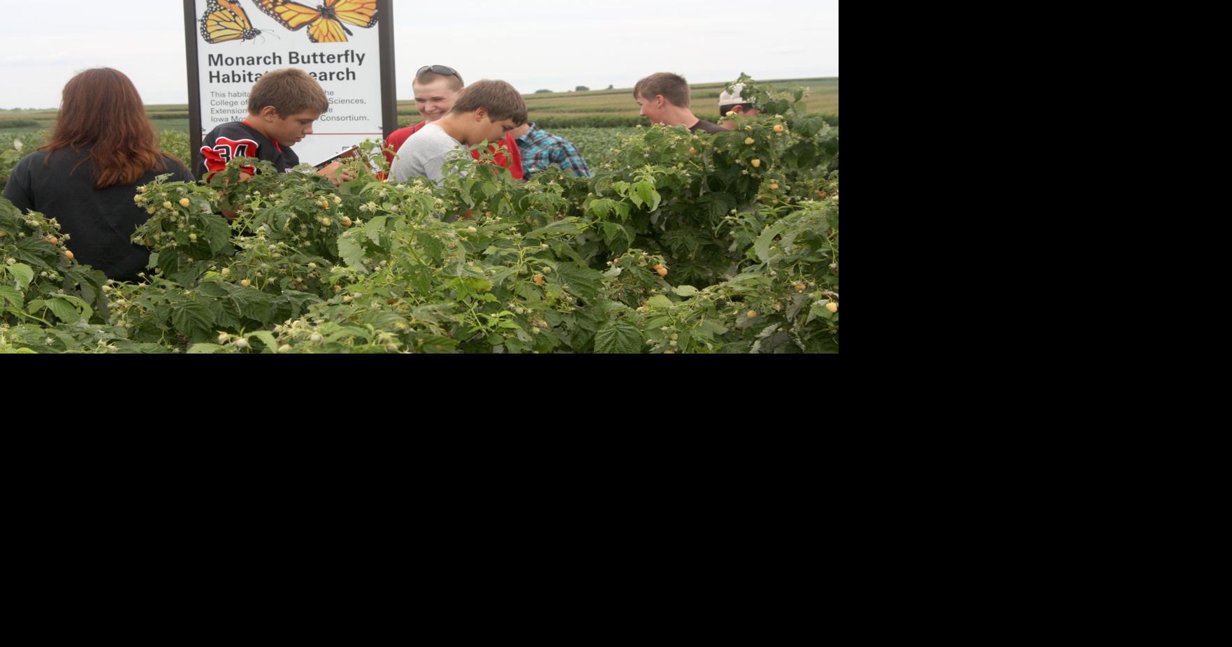 ISU Nashua research farm marks 40 years