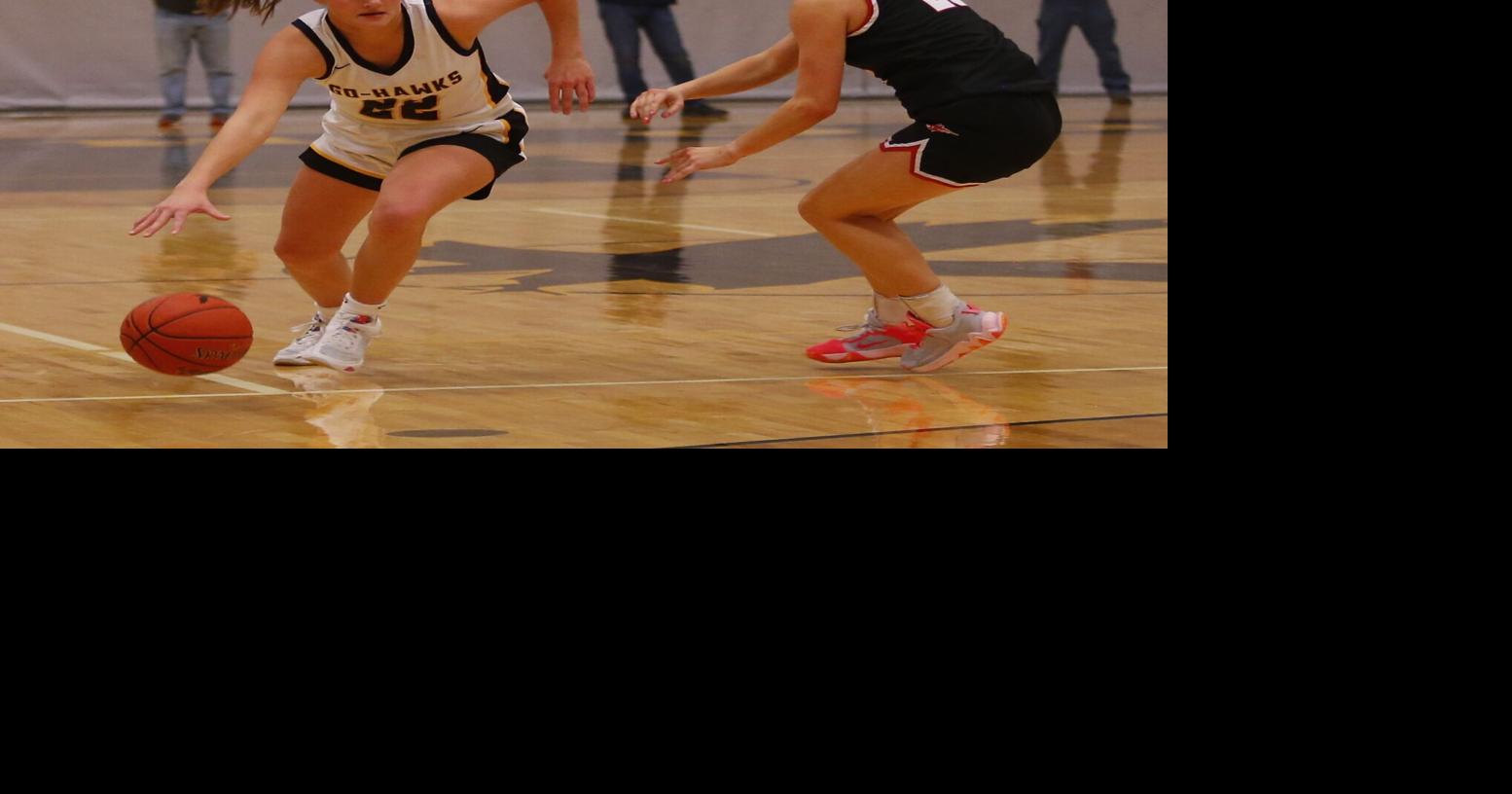 No. 2 Waverly-Shell Rock punches ticket to 4A state tourney