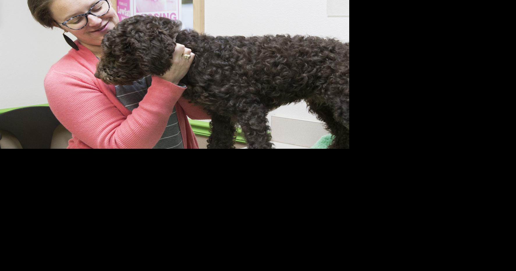 Vets using Fear Free program to reduce pets' stress over vet visits