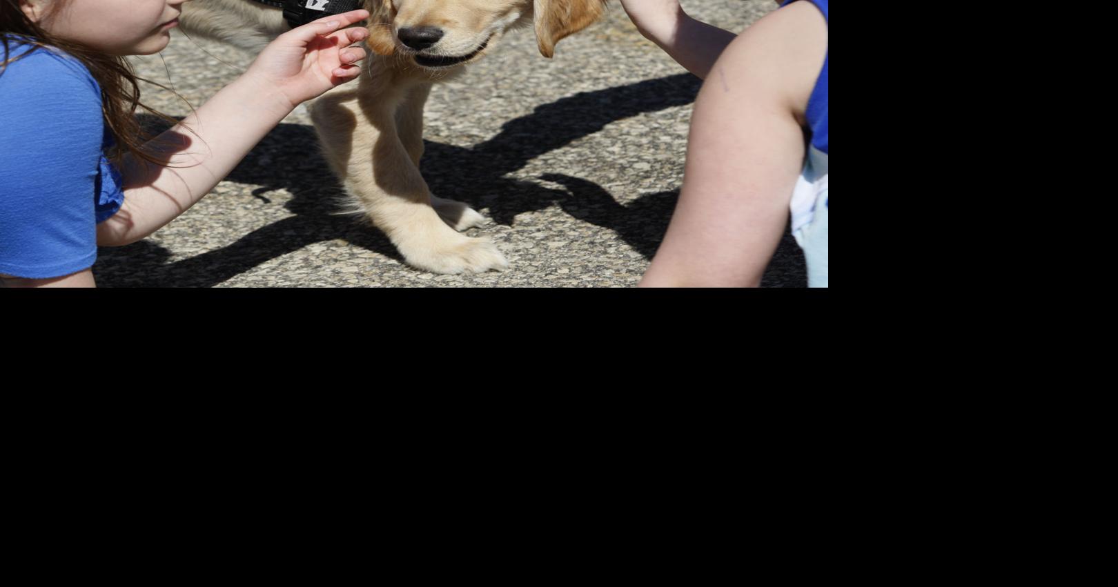 Waverly horse show aids Retrieving Freedom