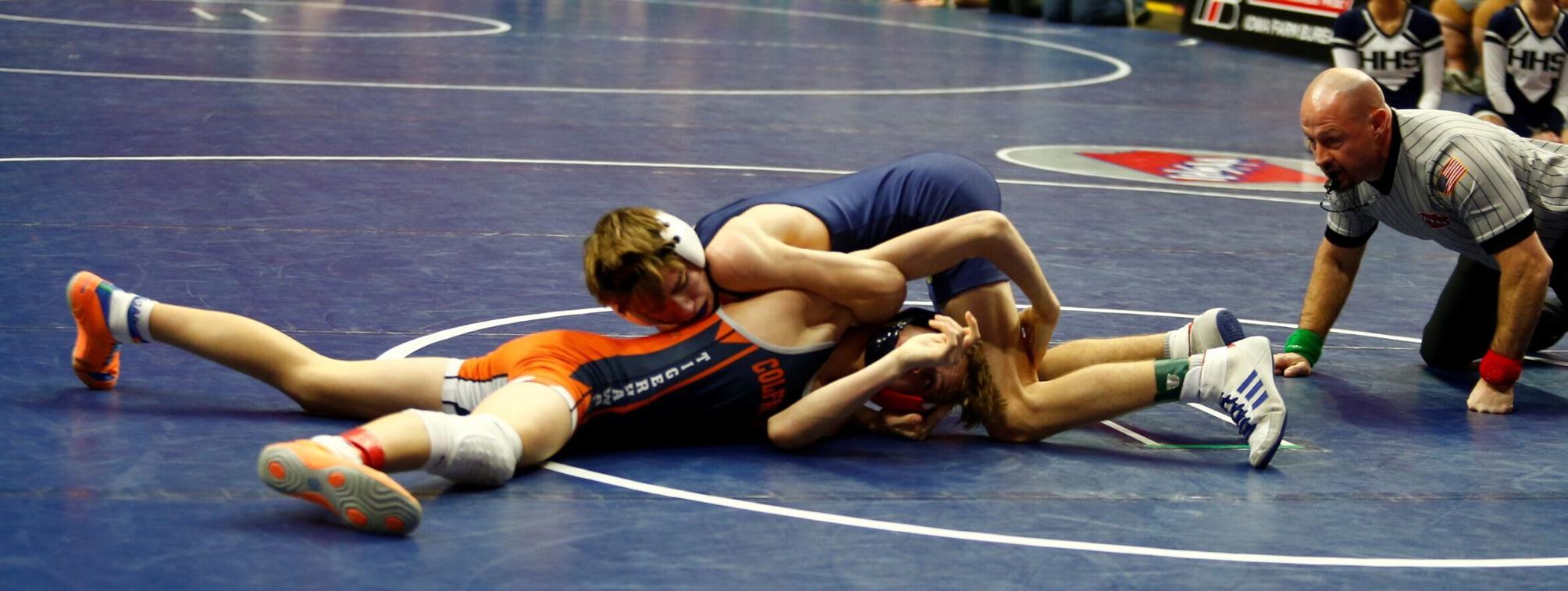 Buchanan County hunt for shed deer antlers planned Saturday