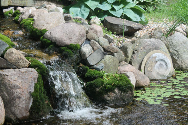 Pond culture: Soak up atmosphere on tour of area water gardens