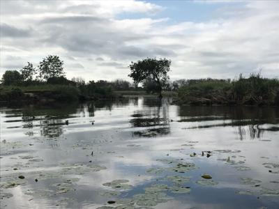 UPDATE WITH PICTURE: Sweet Marsh Wildlife Area lake dam breaks